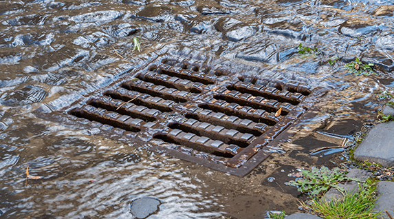 Contact Metro Rod | Call Us or Request a Callback